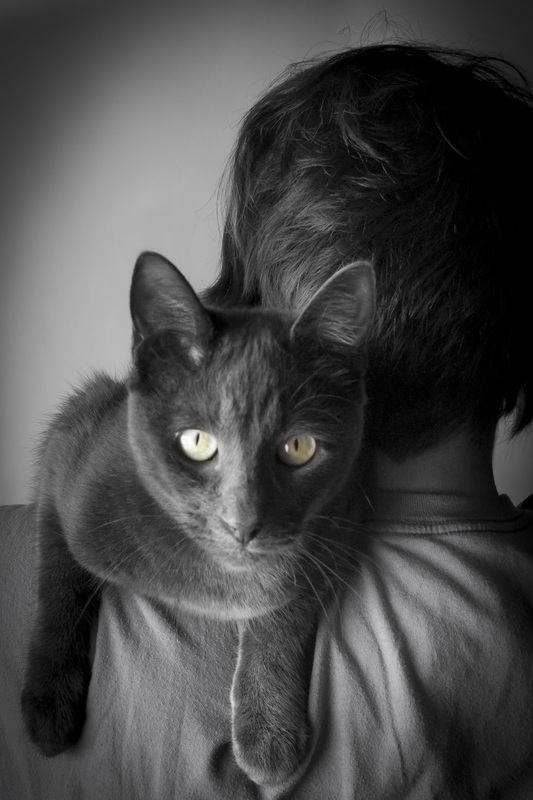 About – KITTYSOLO UNLIMITED